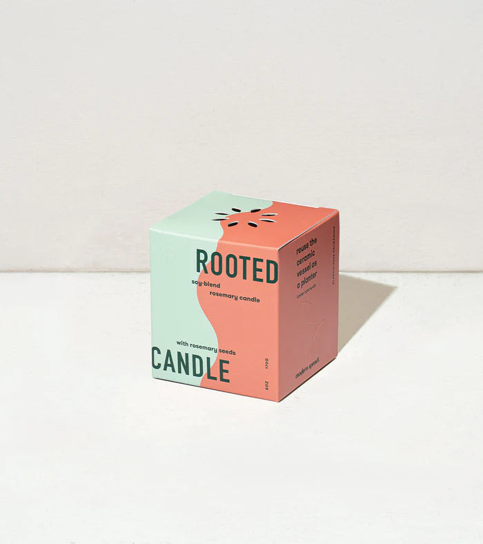 Rooted Rosemary Candle and Grow Kit – Clover & Stone Gift Co.